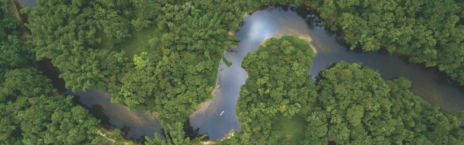 The Engagement Barometer - The Defined Contribution Investment Forum